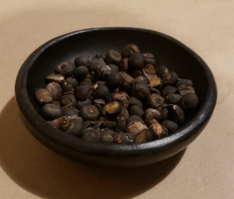 El valor gastronómico del guáimaro - Revista Buen Gusto