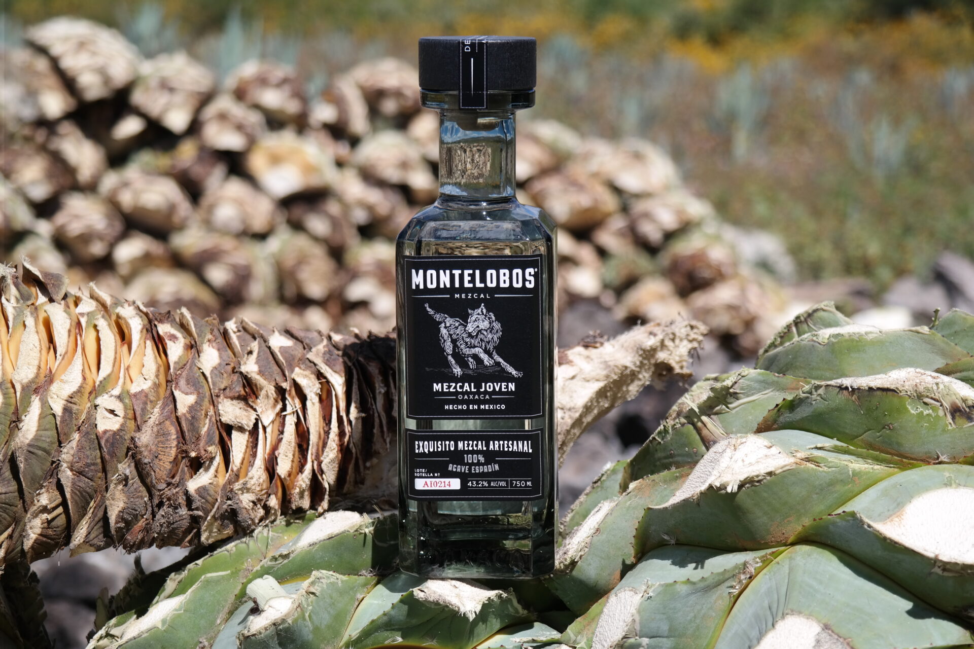 Montelobos, el galardonado mezcal premium que llega a Colombia ...